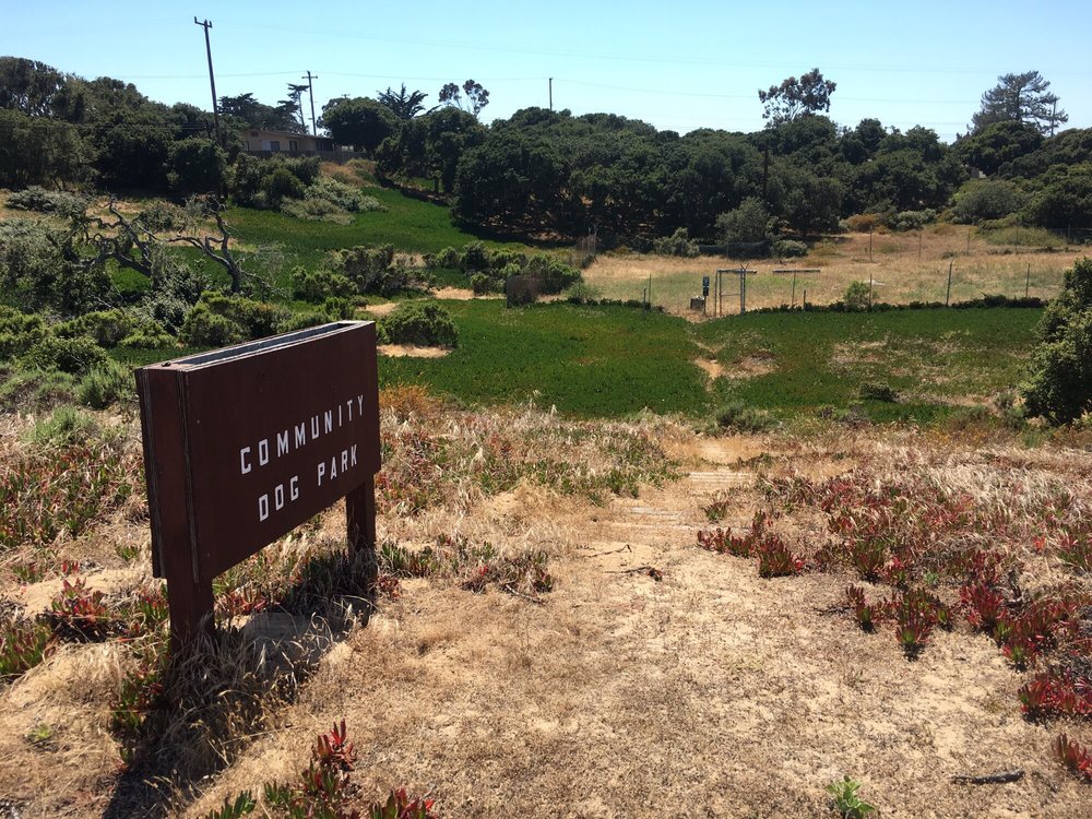 Visitor’s Guide to Fort Ord Community Dog Park - Body&Mind