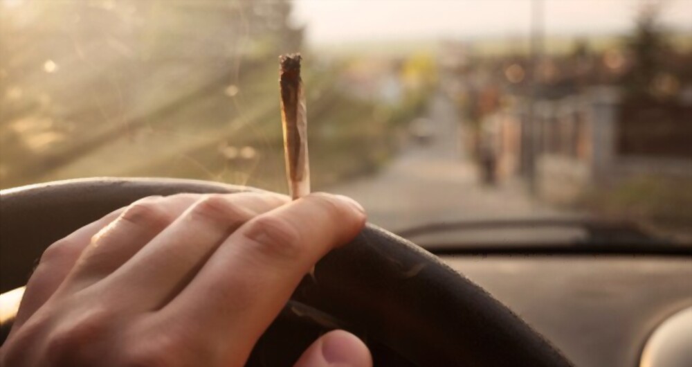 What You Need to Know About Driving and Cannabis - Body&Mind